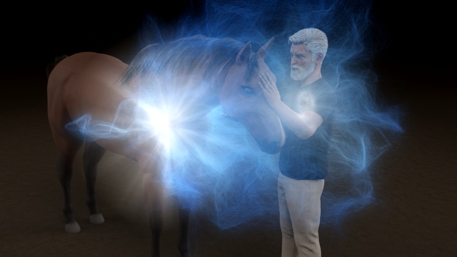 When You Touch A Horse with Intention - Lyons Institute - online home ...