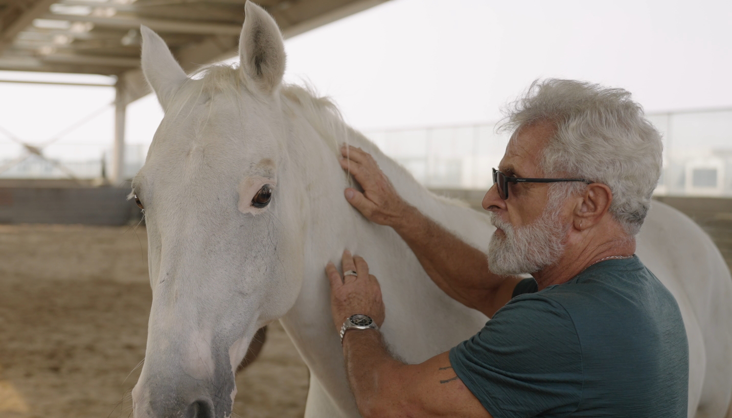 When You Touch A Horse with Intention - Lyons Institute - online home ...