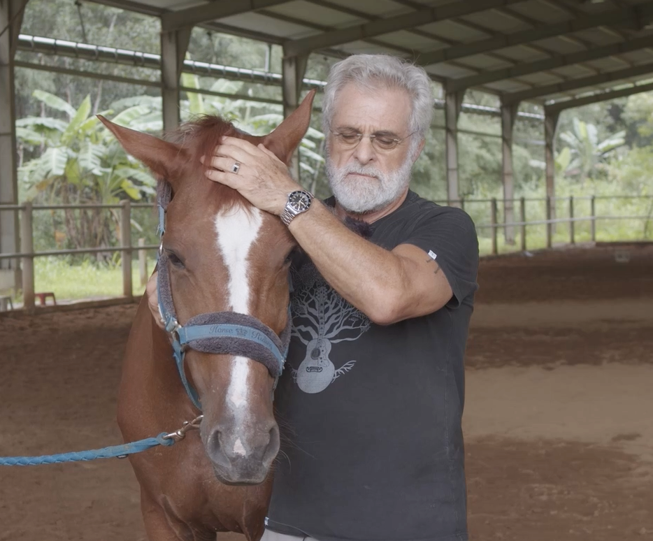 Equine Bodywork - Massage and Craniosacral Therapy for the Horse