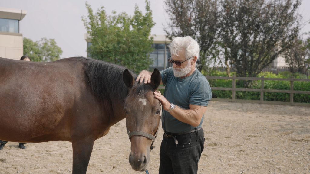 Equine Cranial Sacral - Lyons Institute - online home study courses in Craniosacral Therapy ...